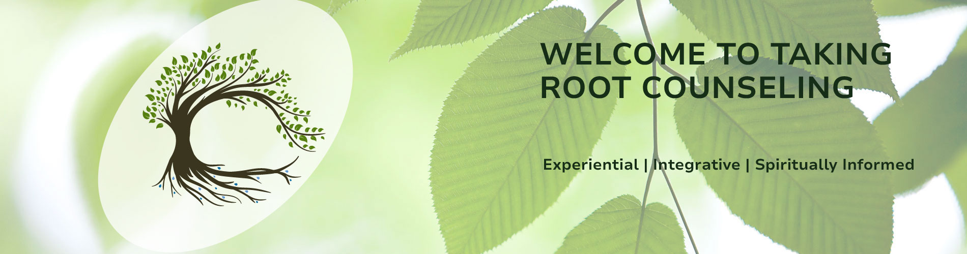 taking root counseling